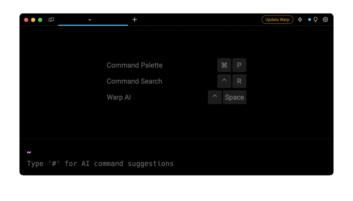 Warp: Installing Dev Dependencies With npm