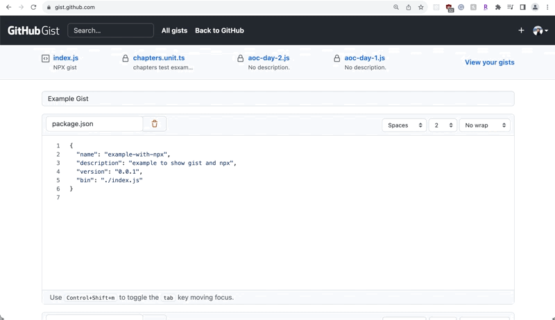 Warp: How to execute packages using npx and npm