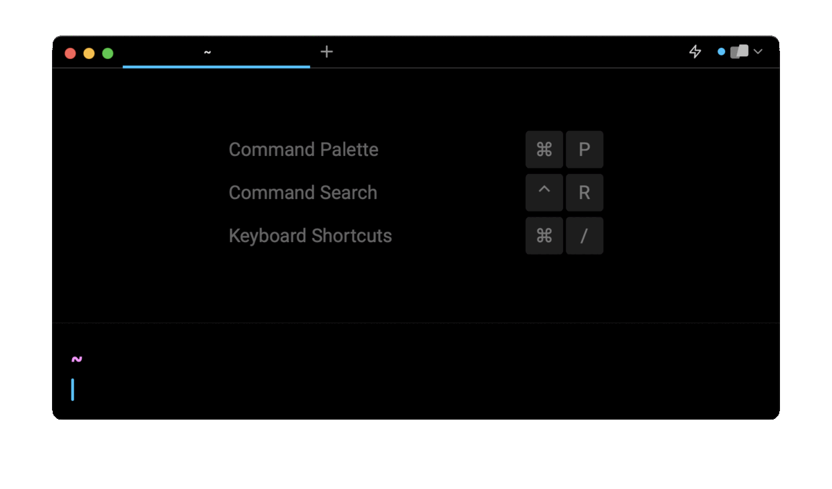 Warp: How To Re-Install Npm With the CLI or via Website