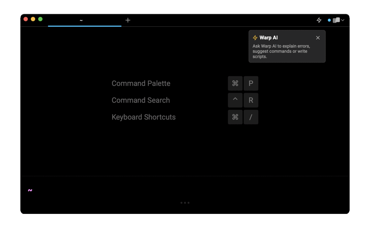 Warp: How To Execute Bash As A Command Or Interactive Shell In Docker