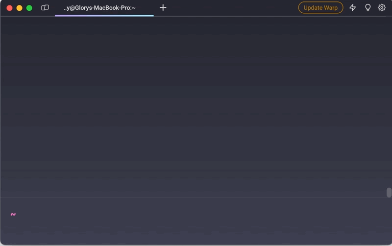 Warp: How to execute packages using npx and npm