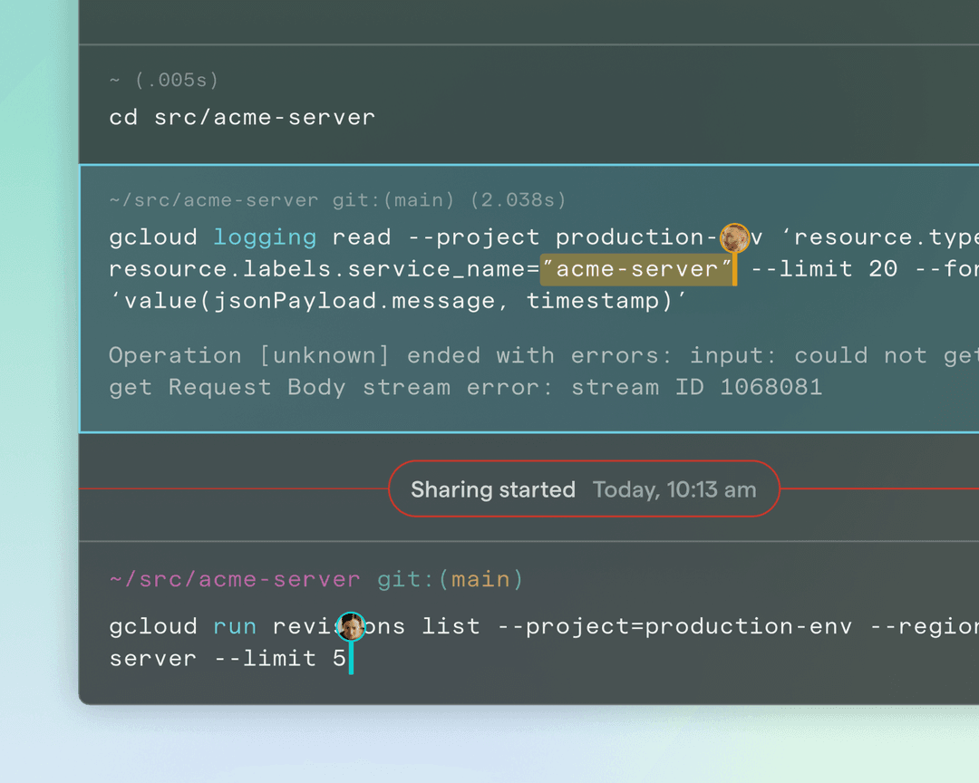Warp Drive: Keep notebooks and workflows in your terminal | Warp