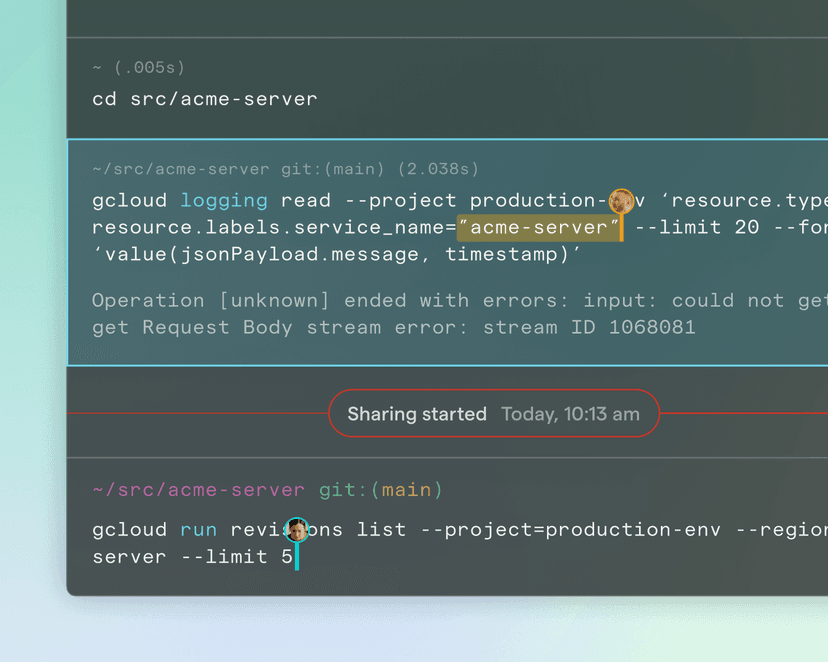 Warp Drive: Keep notebooks and workflows in your terminal | Warp